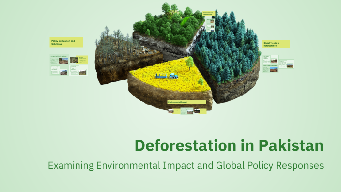 Deforestation in Pakistan by Umar Khan on Prezi