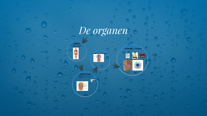 De organen by Jort Wubben on Prezi