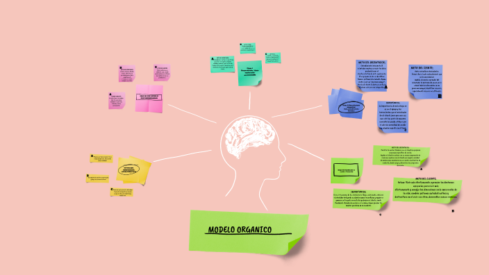 ESQUEMA DEL MODELO ORGANICO by ERENDIRA PEREZ GASCA on Prezi