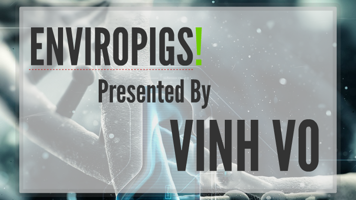 Enviropigs! by Vinh Vo on Prezi