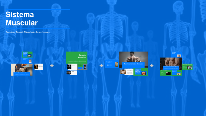Sistema Muscular by PAULA NICOLETE on Prezi