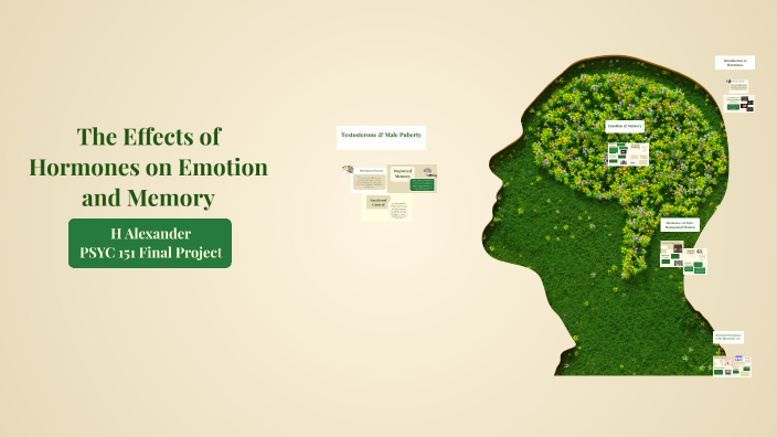 The Effects of Hormones on Emotion and Memory by H Alexander on Prezi