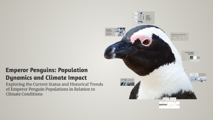 Emperor Penguins: Population Dynamics and Climate Impact by Odalys ...