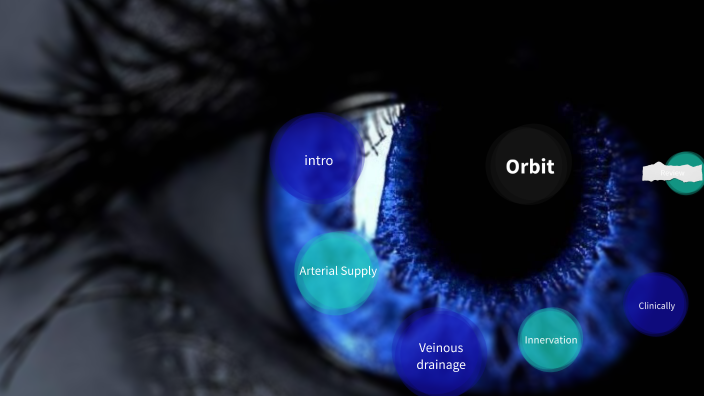 Eye by osama doski on Prezi