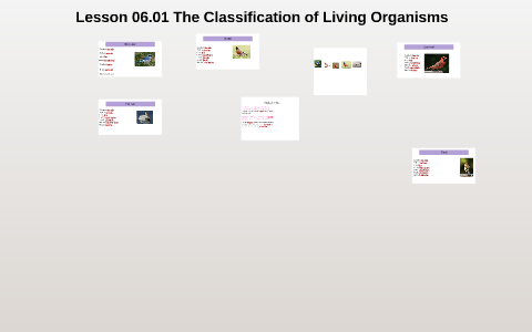 Lesson 06.01 The Classification of Living Organisms by Christelle Lucius