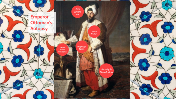 Autopsy of an Empire by Daphne Tanner on Prezi