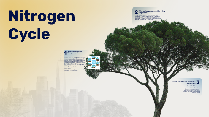 Nitrogen cycle by Danika Learned on Prezi