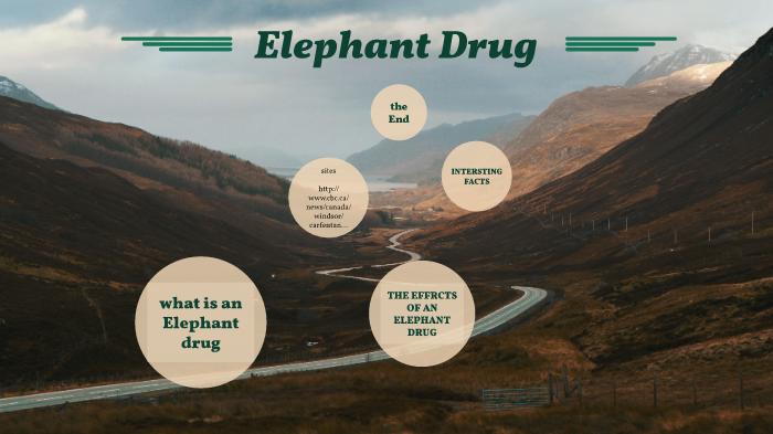 Elephant drugs by Hawa Omar on Prezi