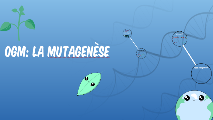 OGM: La mutagenèse by Meg Veilleux on Prezi