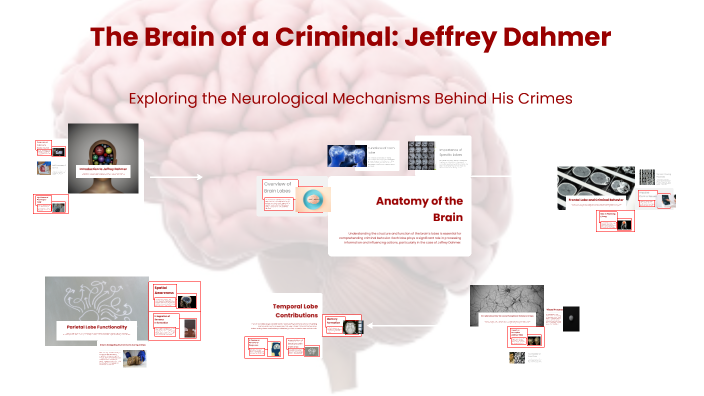 The Brain of a Criminal: Jeffrey Dahmer by Tatiana M on Prezi