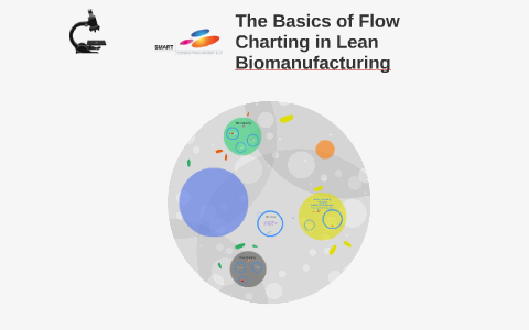 The Basics of Flow Charting in Lean Biomanufacturing by Eryn Aiello on ...