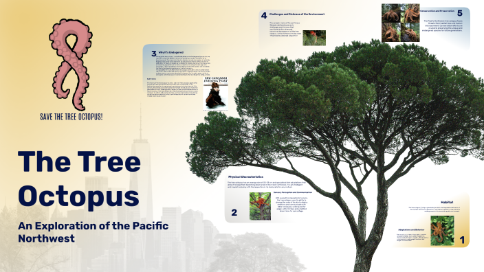 The Tree Octopus by Ali Schultz on Prezi
