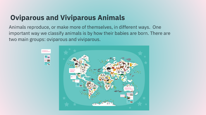 Oviparous and Viviparous Animals by NAXHELI HERNANDEZ RAMÍREZ on Prezi