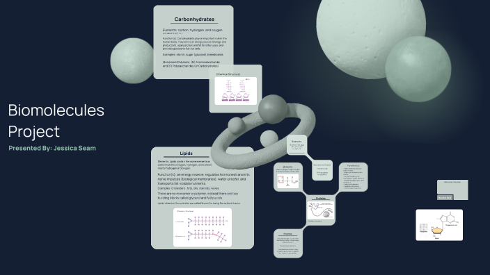Biomolecules Project - 08.17.2023 by Jessica Seam on Prezi