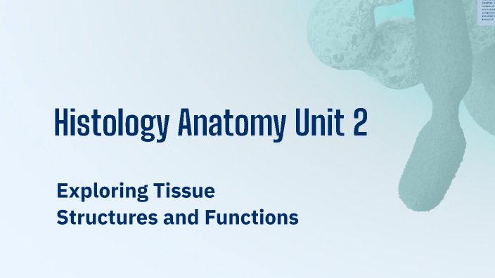Histology Anatomy Unit 2 by Isaac Mutumba on Prezi