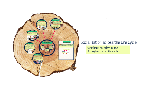 Socialization across the Life Cycle by Jackie Smith on Prezi