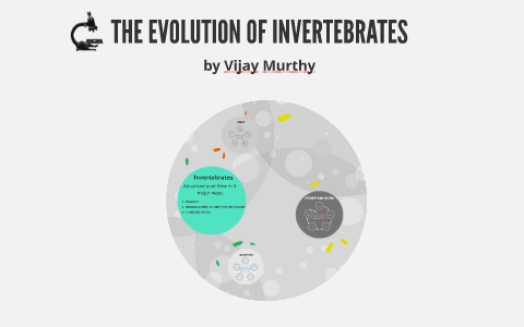 The Evolution of Invertebrates by Vijay M. on Prezi Next