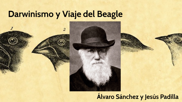 Darwinismo by Álvaro Sánchez Aguilar on Prezi