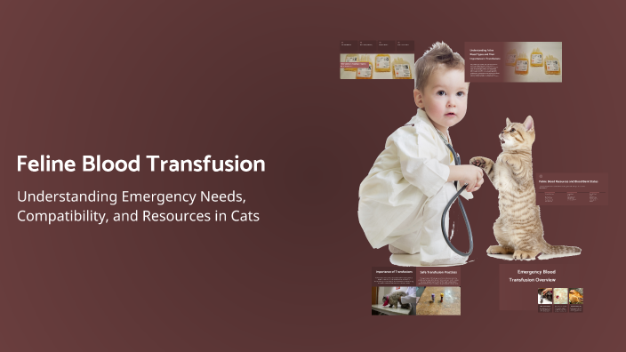 Feline Blood Transfusion by 凱西 鄭 on Prezi