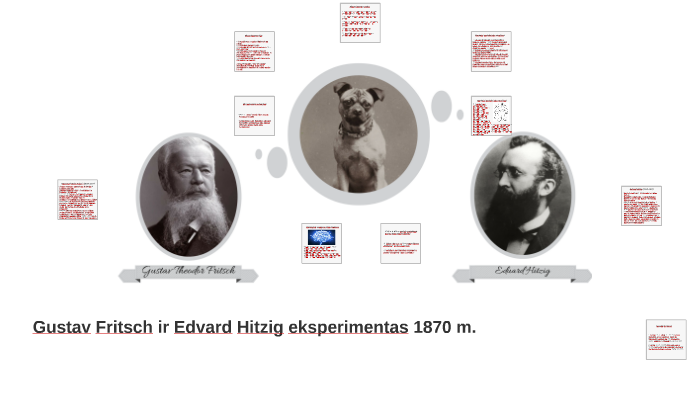 Gustav Fritsch ir Edvard Hitzig eksperimentas 1870 m. by Julija ...