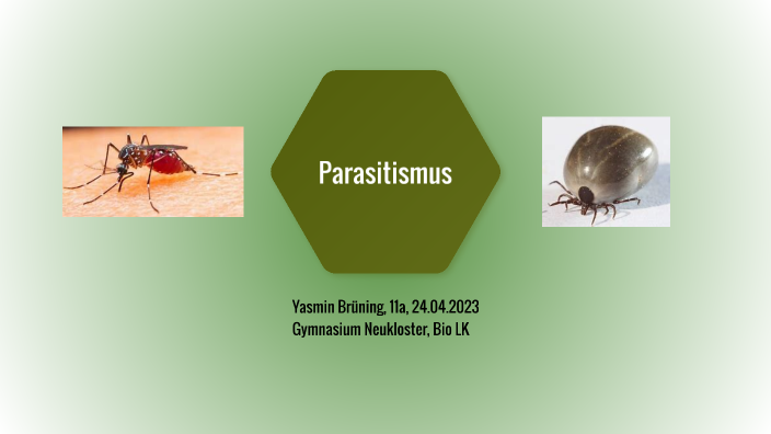 Parasitismus by Yasmin Brüning on Prezi