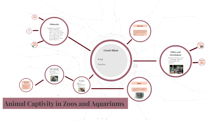 Animal Captivity in Zoos and Aquariums by Erin Nemivant on Prezi