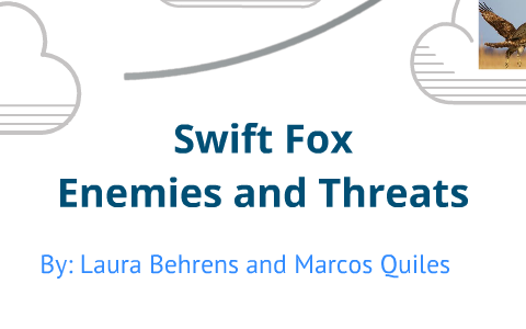 Swift Fox - Enemies and Threats by Laura Behrens on Prezi