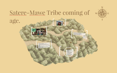 Satere-Mawe Tribe by Hannah Ryan on Prezi