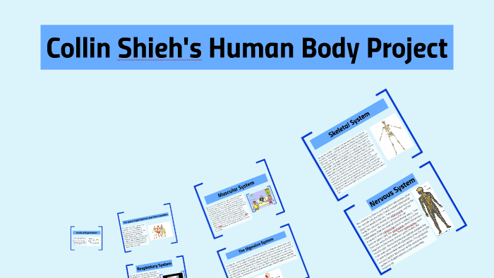 Collin Shieh's Human Body Project. by Collin Shien on Prezi