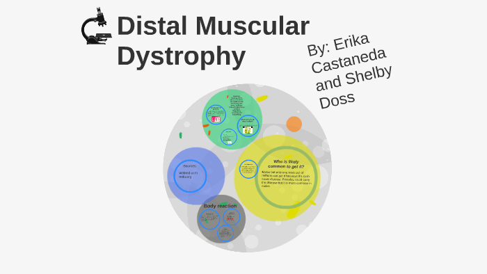 Distal Muscular Dystrophy by erika castaneda