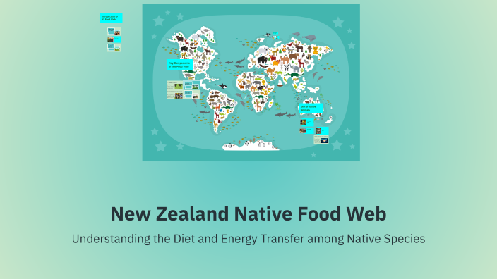 New Zealand Native Food Web by Mrs Ghanim on Prezi