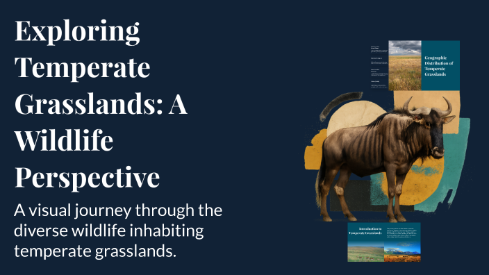 Exploring Temperate Grasslands: A Journey Through Biodiversity by ...