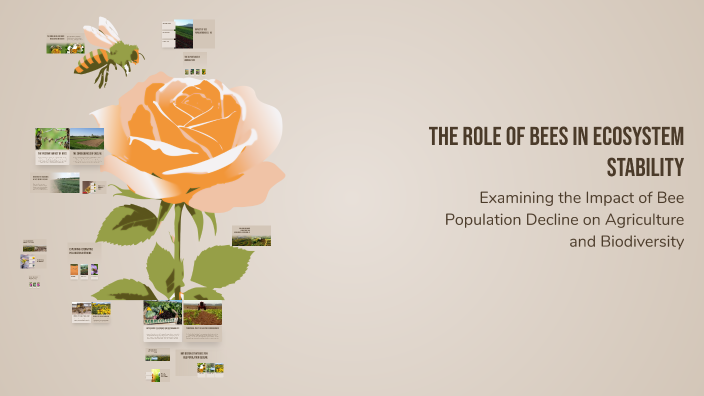The Role of Bees in Ecosystem Stability by toma kriskute on Prezi