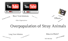 Overpopulation of Stray Animals by Lindsey Young on Prezi