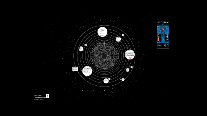 The Circulatory System by Hilary osei on Prezi