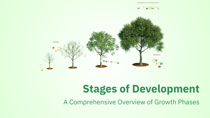 Stages of Development by Ethan Thatcher on Prezi