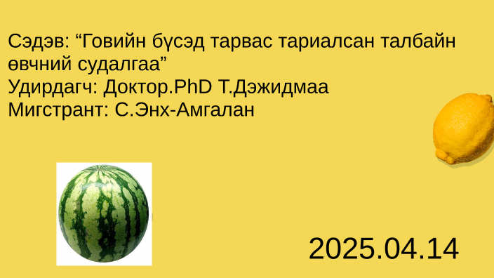 Exploring Watermelons by Svrengochoo Enh-amgalan on Prezi