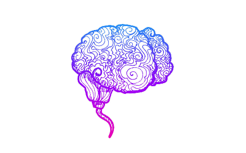 el cerebro y la conducta refleja 2 by Daniela Perez Garcia on Prezi