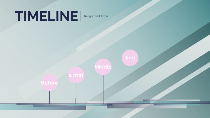 Race timeline by Reagan McConnaughhay on Prezi