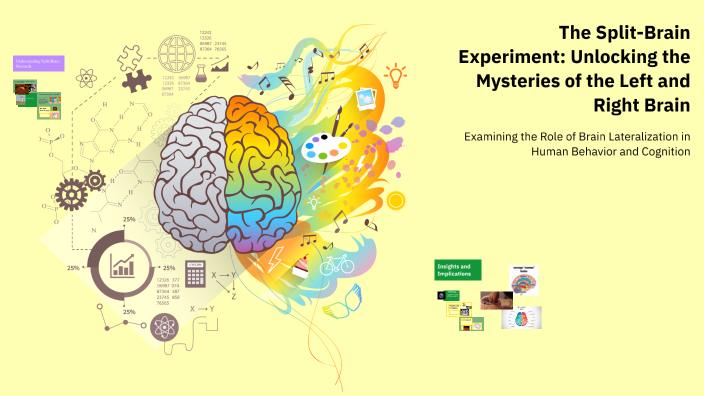 The Split-Brain Experiment: Unlocking the Mysteries of the Left and ...