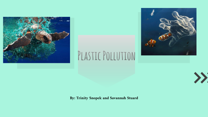 Plastic Pollution Presentation by Savannah Stuard on Prezi
