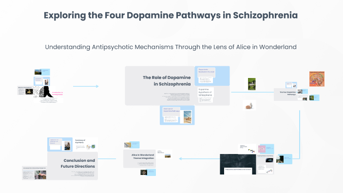 Exploring the Four Dopamine Pathways in Schizophrenia by Patricia ...