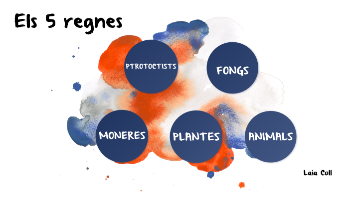 Els 5 regnes by Laia Coll Dalmau on Prezi