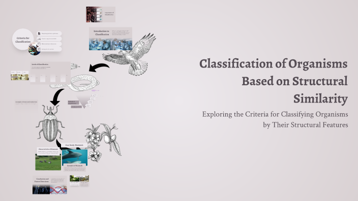 Classification of Organisms Based on Structural Similarity by RAVNEEL ...