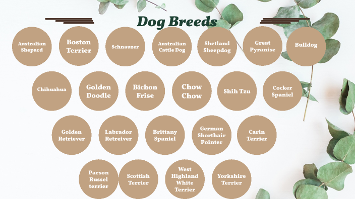 Dog Breeds by Taylor Hood on Prezi
