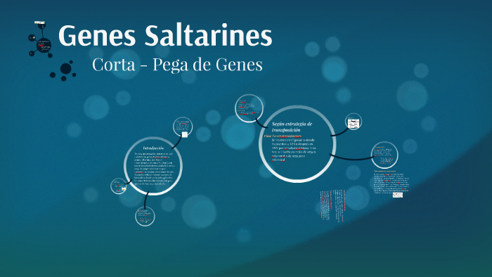 Genes Saltarines by Camila Venegas on Prezi