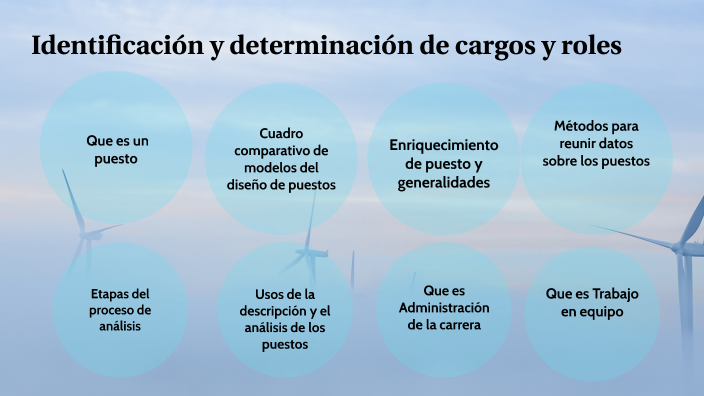 Identificacion y determinacion de cargos y roles by Natalia Alarcon on ...