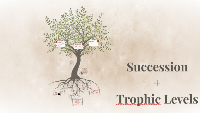 Succession + Trophic Levels by Matt Swajkowski on Prezi