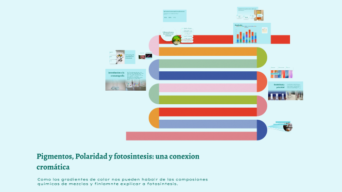 Pigmentos, Polaridad y fotosintesis: una conexion cromática by ...