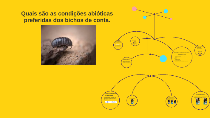 Resposta do bicho-de-conta a fatores abióticos by Guilherme Neves on Prezi